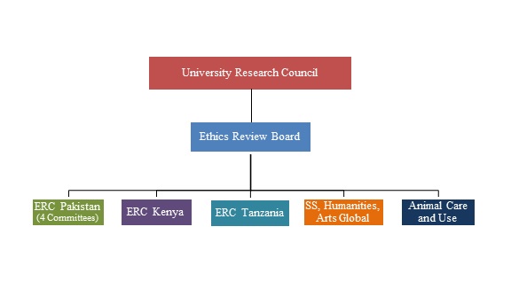 Ethics Review Board and Committees | Office of Research and Graduate Studies | Aga Khan University